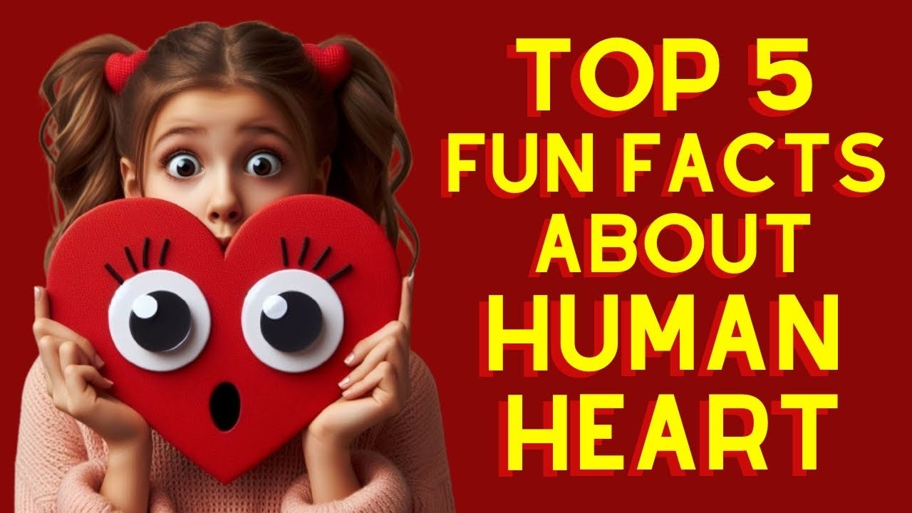 Top 5 Fun Facts About Human Heart | Facts about Human Heart | 1 bit ...