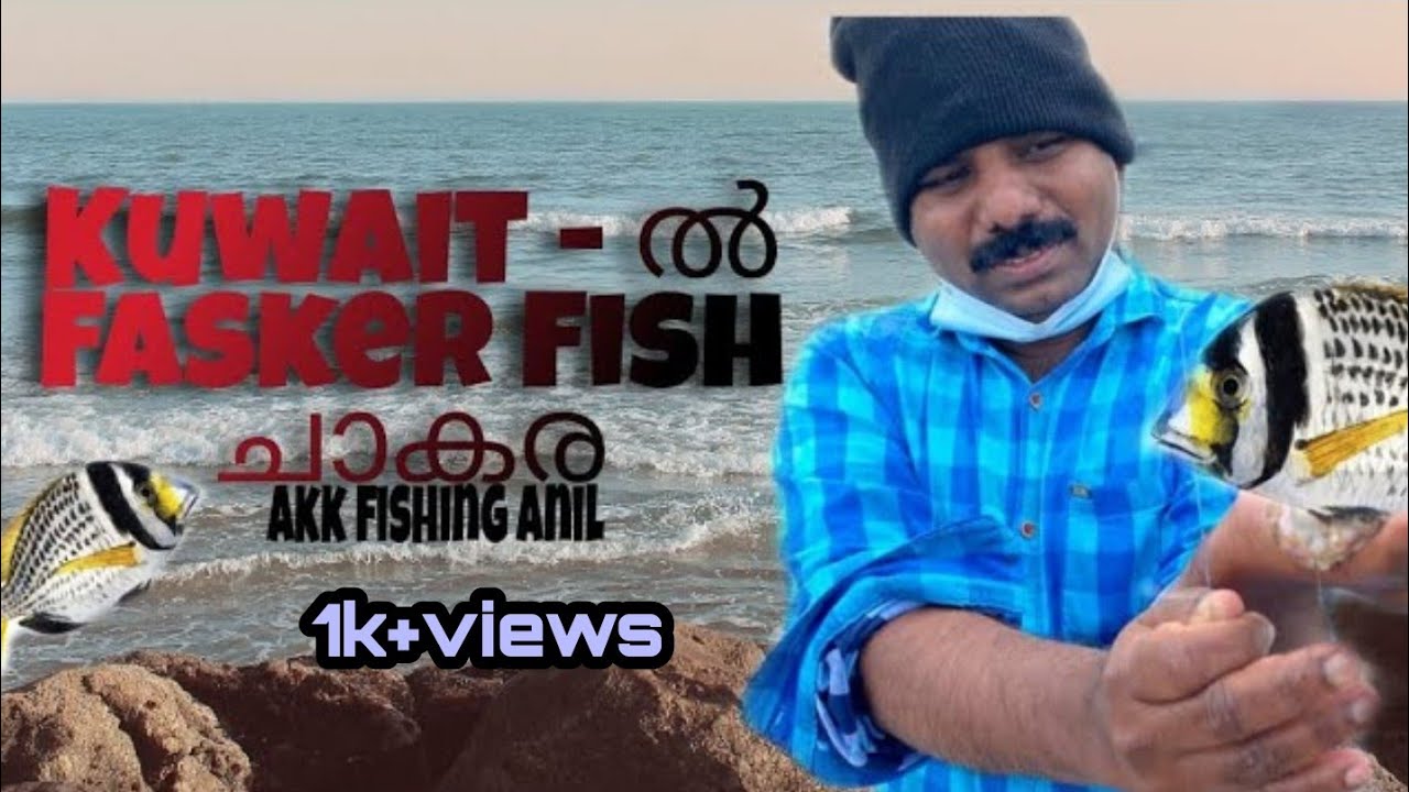 Kuwait - (khiran) ൽ Fasker Fish ചാകര /akk fishing anil - YouTube