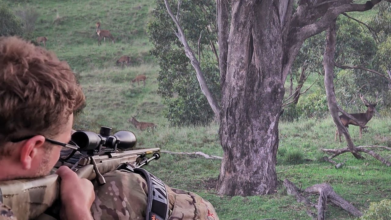 DAY 1 - Rut / Roar Hunting Trip 2025 - 300 RUM FOLDS A BUCK - YouTube