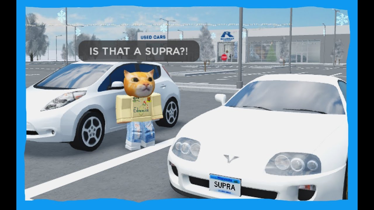 If Cats Are Supra Drivers - YouTube