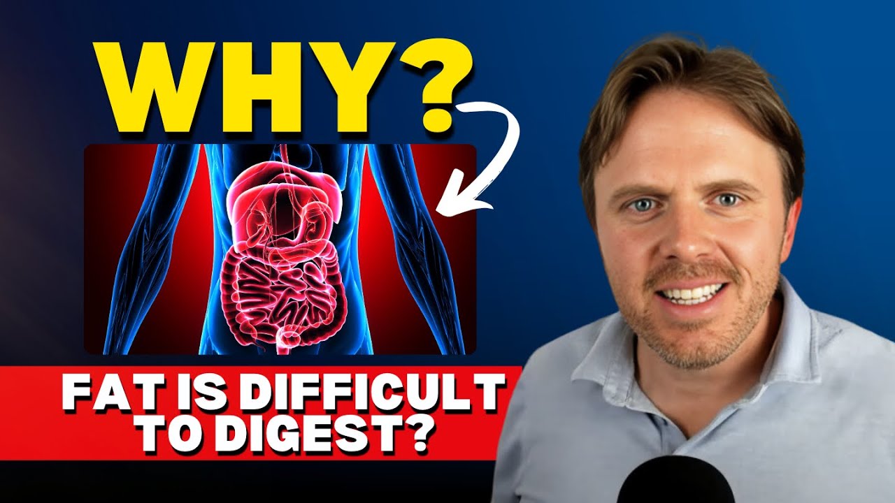 Boost Your Fat Digestion Today! Simple Steps for Better Gut Health & No ...