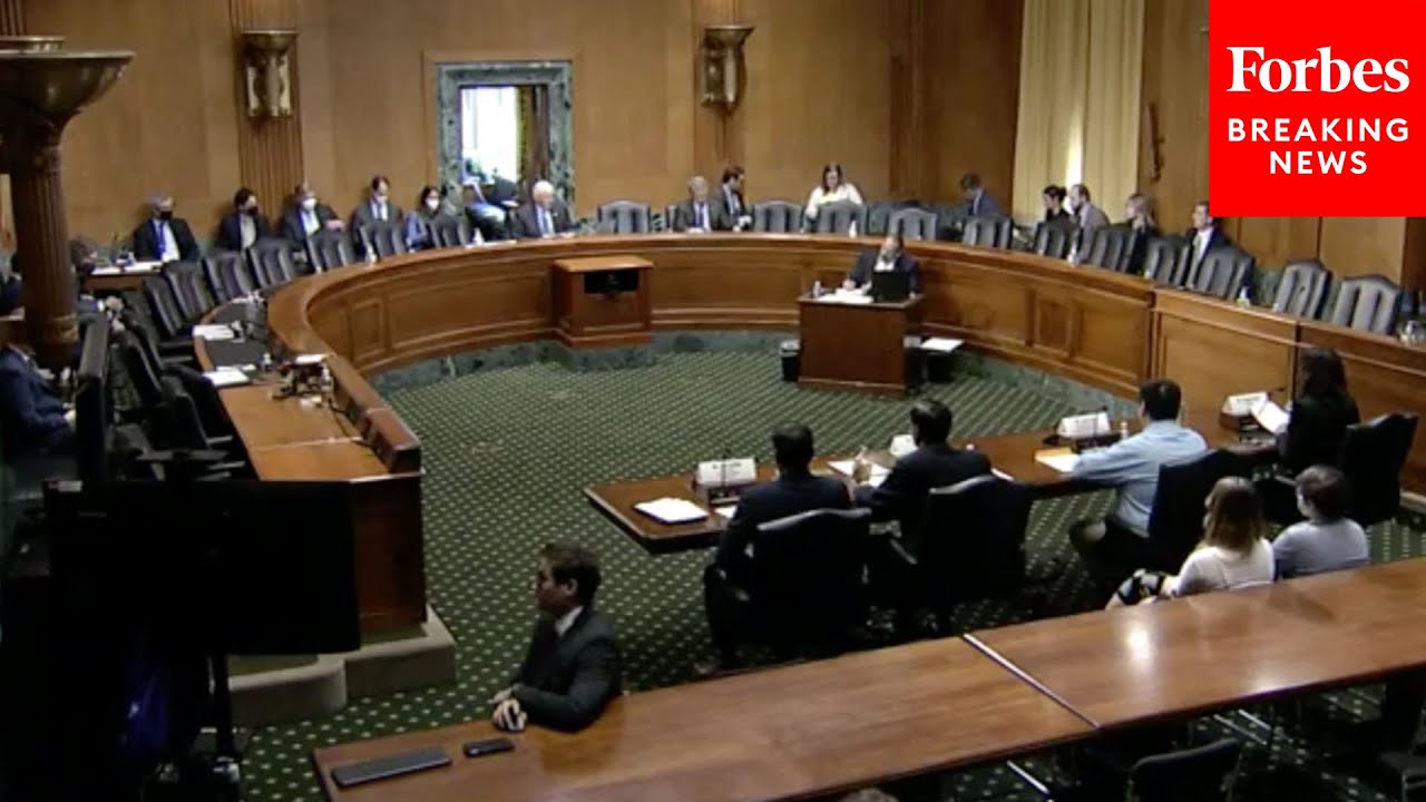 Senate Small Business Committee Holds Hearing On Supply Chain - YouTube