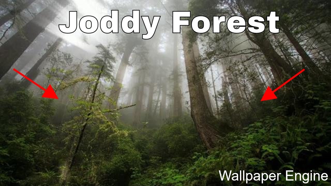 Joddy Forest - Desktop Wallpaper (Wallpaper Engine) - YouTube