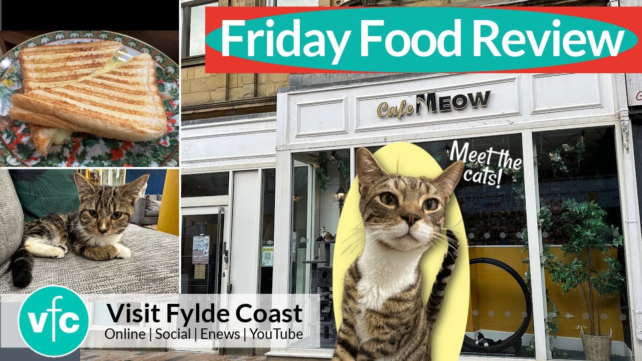 Blackpool's ONLY Cat Cafe 🐱 | Friday Food Review at Cafe Meow! - YouTube