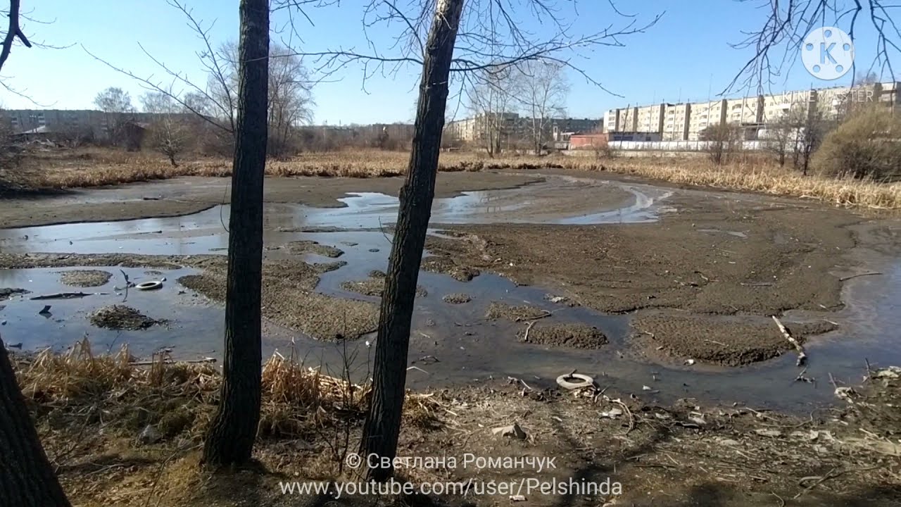 Там, где раньше жили уточки, там теперь вонючее болото и грязь! ☢️A ...