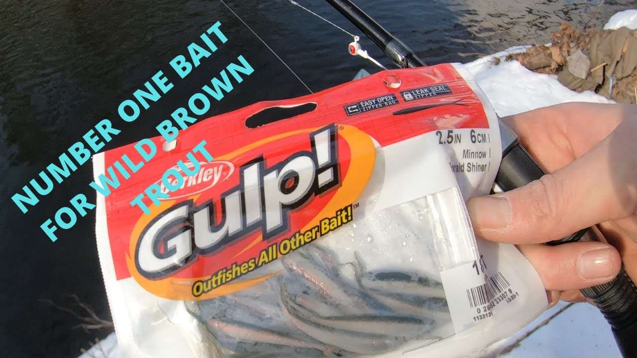 FISHING FOR TROUT WITH GULP MINNOWS AFTER A SNOWSTORM - YouTube