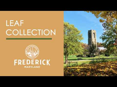 Leaf Collection - YouTube