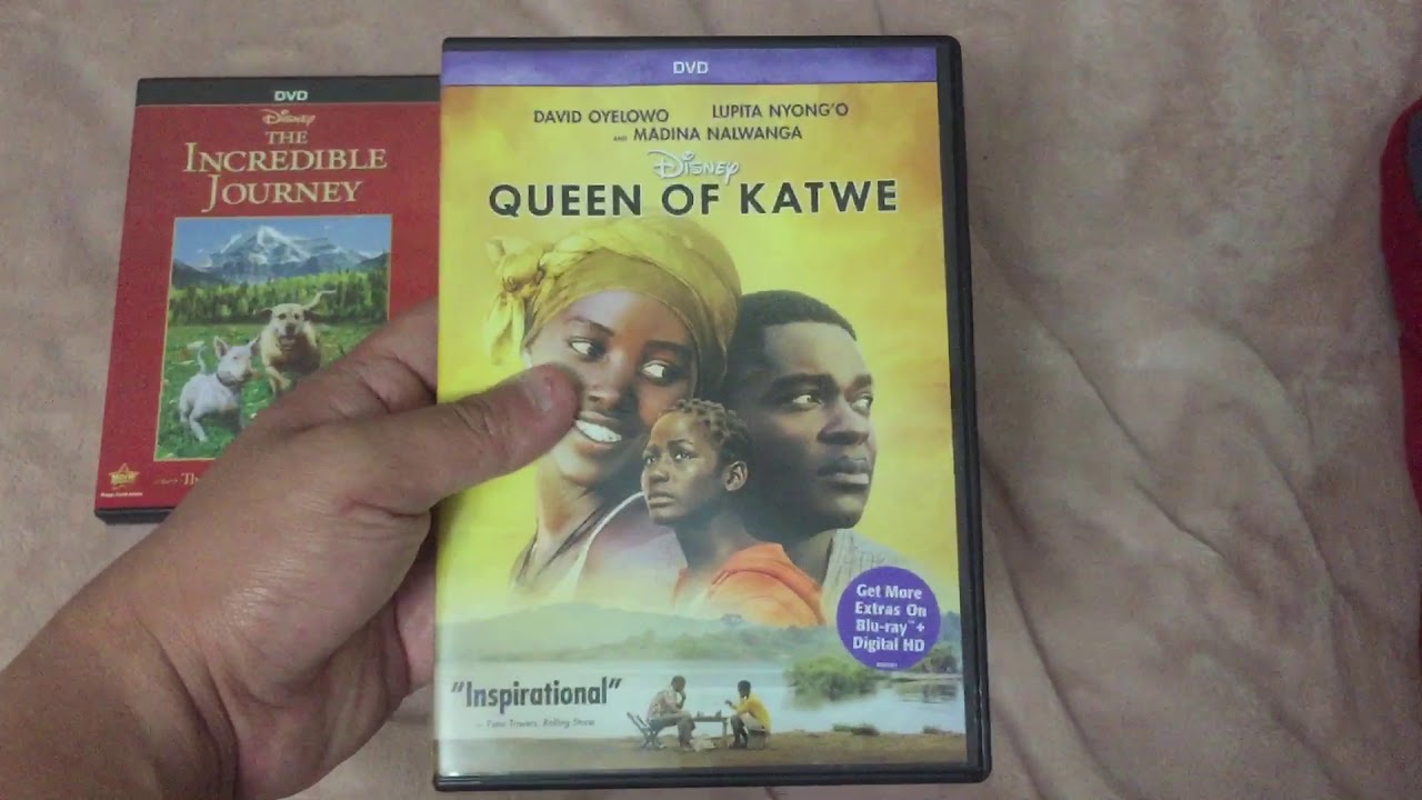 DVD Update for September 25th, 2019 - YouTube