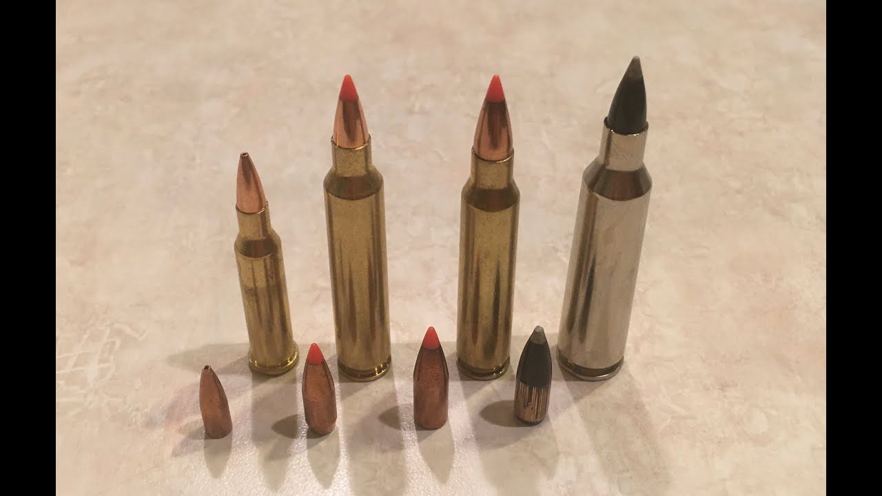204 Vs 223 Vs 22 250 Vs 17 Hornet When It Comes To Avoiding Splash Hits