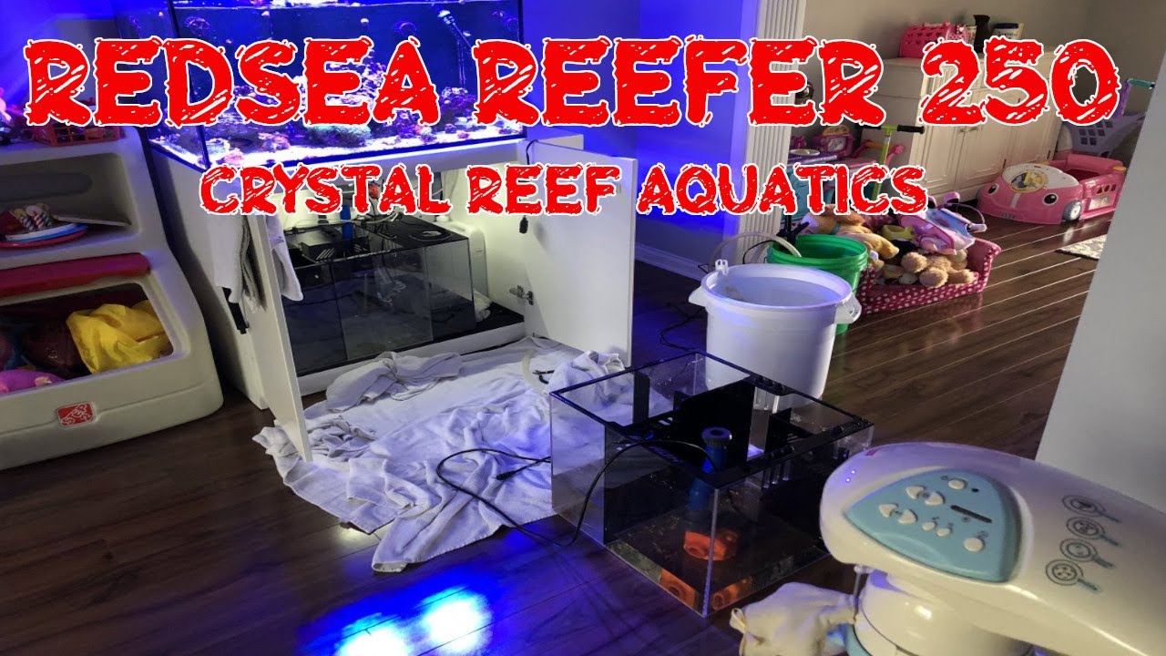 Red Sea Reefer 250 | Crystal Reef Aquatics | RSR250 Triton Style Sump ...