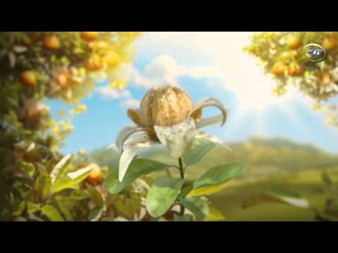 DERİN DÜŞÜNMEK BELGESELİ (FULL HD)