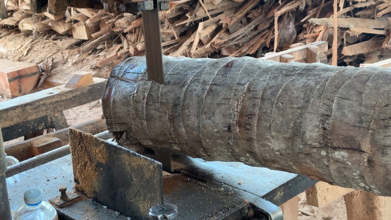 Steps to Sawing a Coconut Tree to 2x20 Size - YouTube