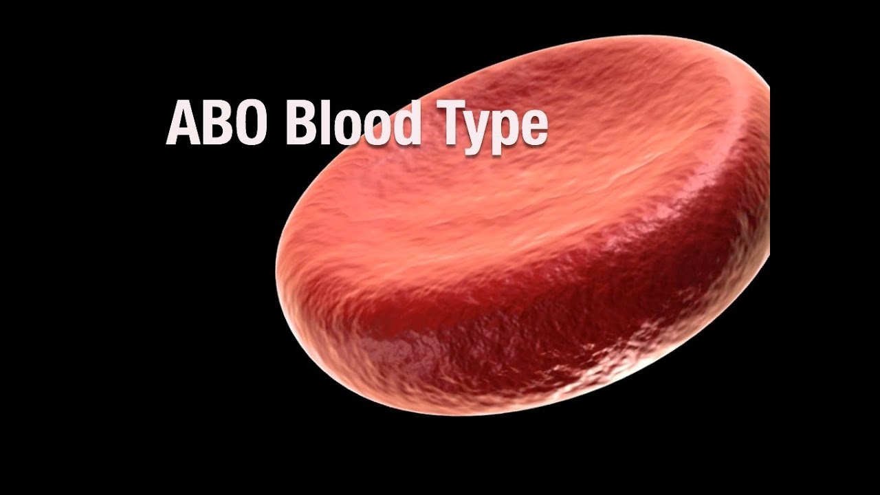 ABO Blood Type - YouTube