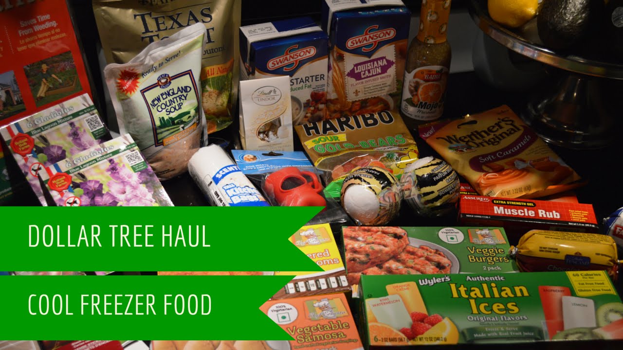 Dollar Tree Haul - Cool Freezer Food - YouTube