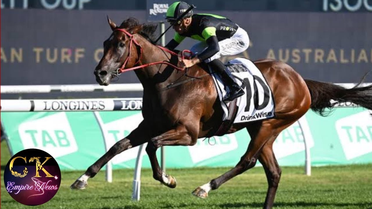 $30,000 COLLECT KINGSFORD SMITH eagle form | Australia horse race ...