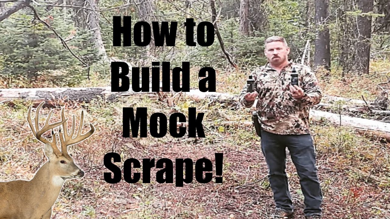 Build the perfect mock scrape! - YouTube