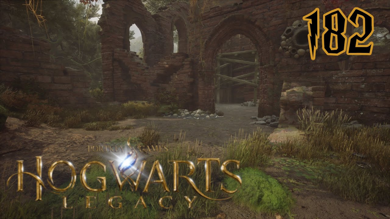 Let's Play Hogwarts Legacy 182 - 😺Wir haben einen 😺 Kniesel am Start!😺 ...