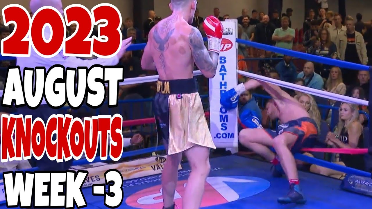 MMA & Boxing Knockouts I August 2023 Week 3 - YouTube