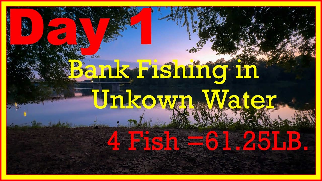 3 Day Carp Fishing Challenge-Unknown water-Day1-29LB-Beast! - YouTube
