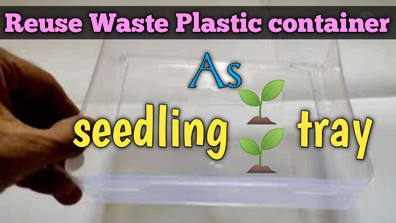 Seeds tray for free | diy seed tray | seedling tray - YouTube