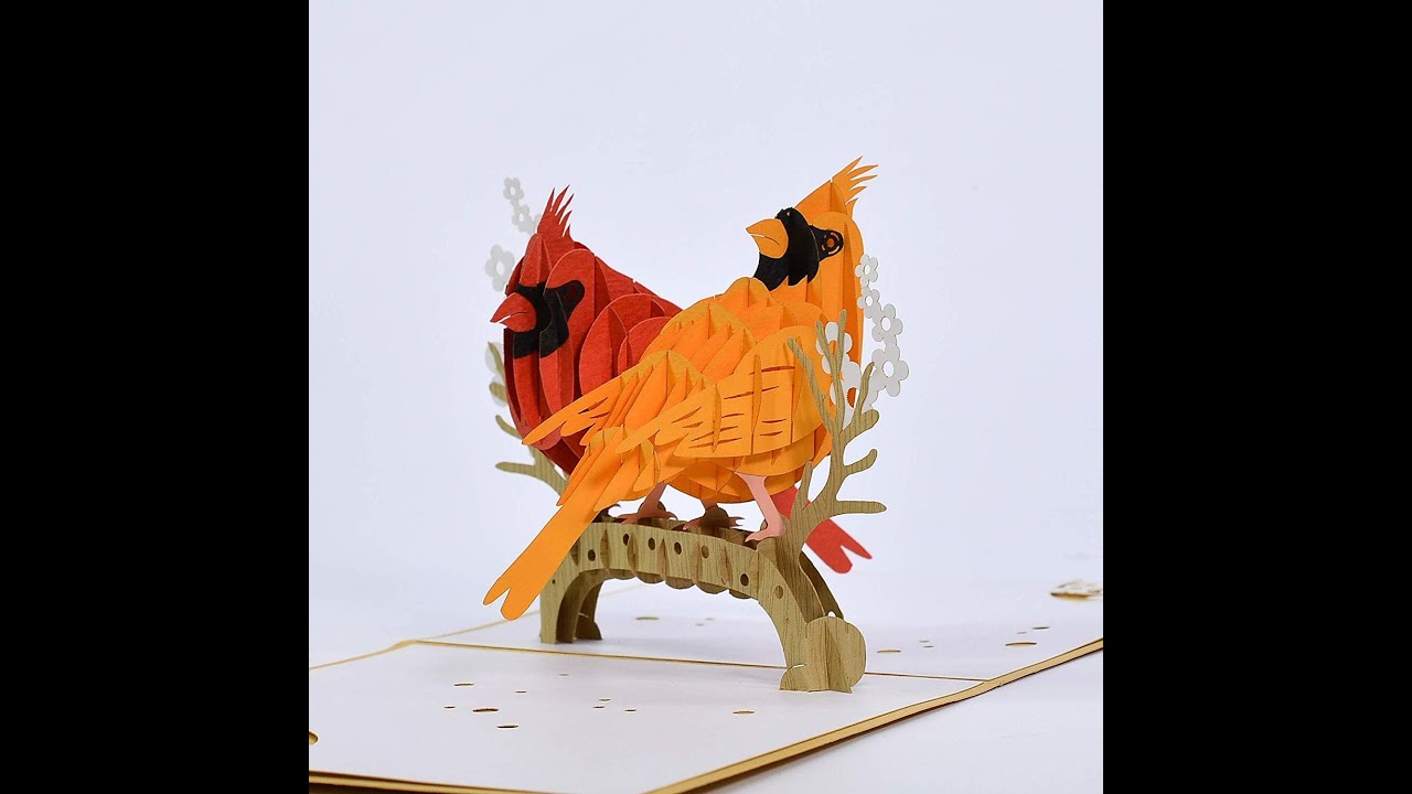 6 best 3d Cardinal bird pop up card templates - YouTube