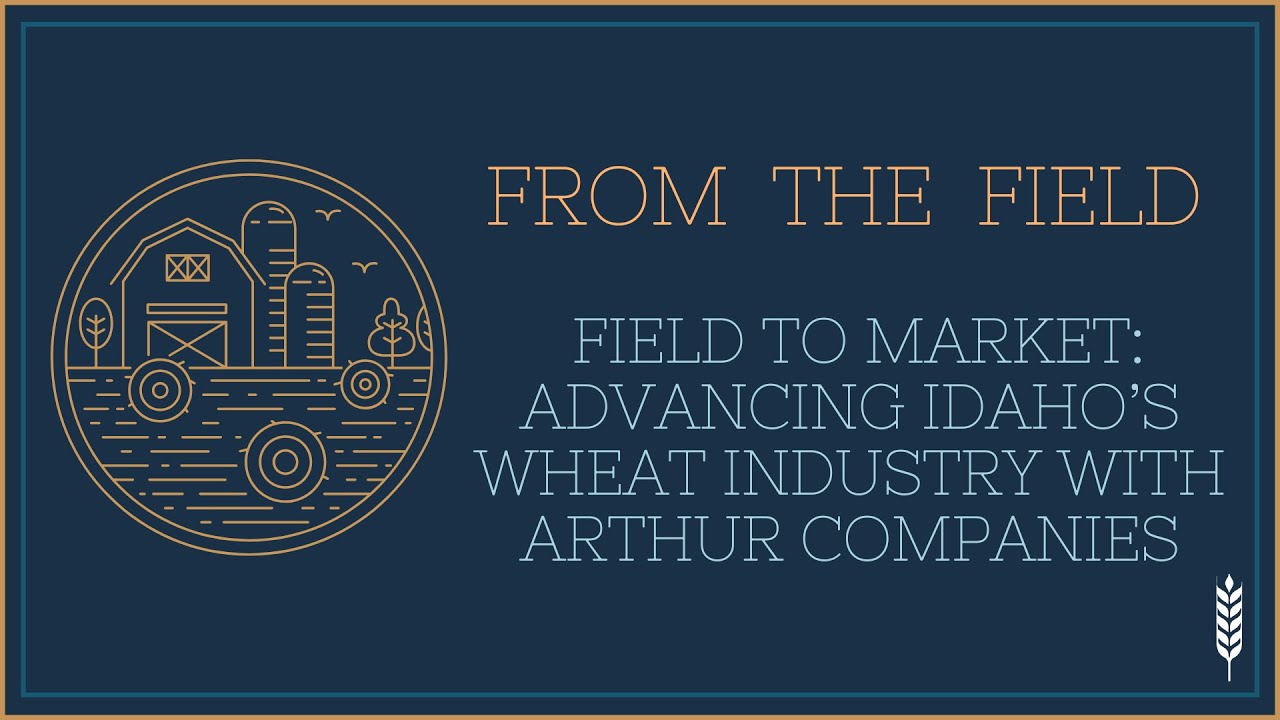 Advancing Idaho's Wheat Industry with Arthur Companies - YouTube