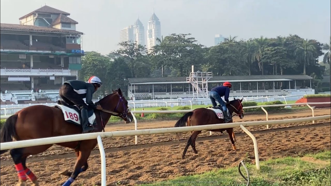 Horse race in Mumbai race course/ Mahalaxmi race course RWTIC - YouTube