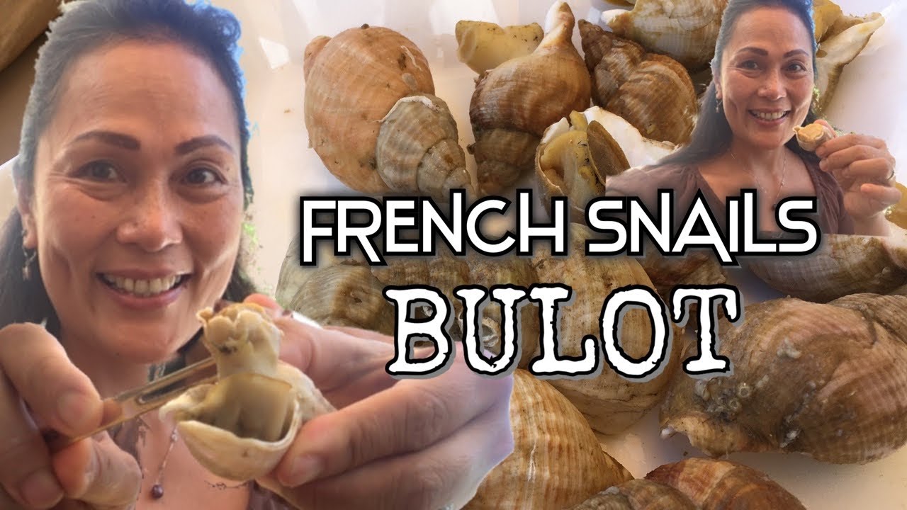PROTEIN RICH-Bulots or French Snail /EstelaD’ESCLAVELLES - YouTube