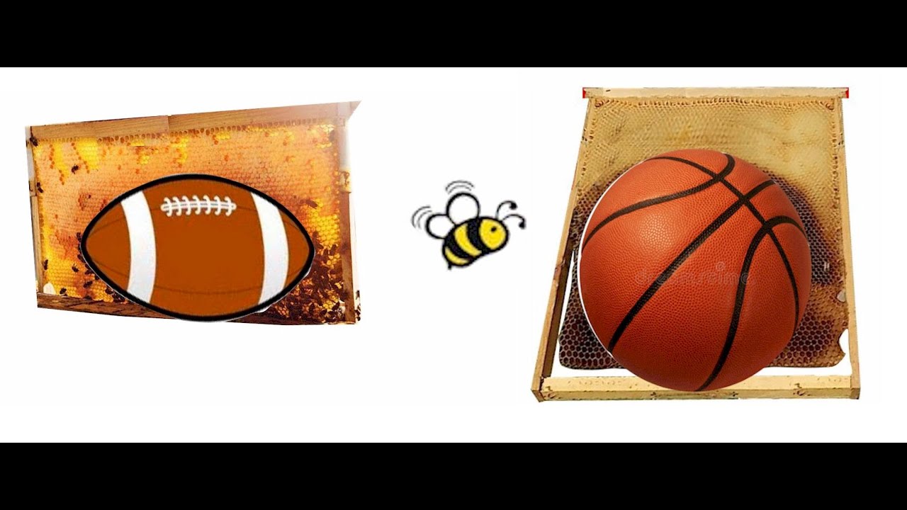 Vertical and Horizontal Beehives & Math of Overwintering. Honey Bee ...