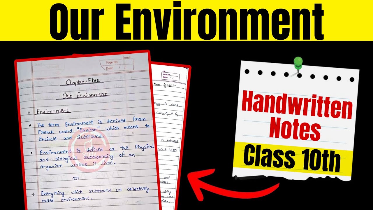 Our Environment Class 10 Biology Chapter 5 Handwritten Notes | Class 10 ...
