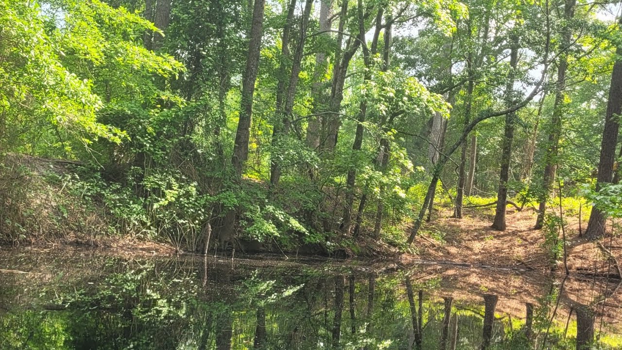 The Incognito Goddess: Val Jones On Her Trail 🌲💚 #NationalTrailsDay # ...