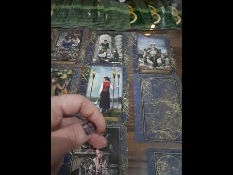 Kova burcu 2019 şubat