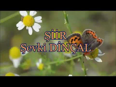 Şevki Dinçal/Sen Olmayınca