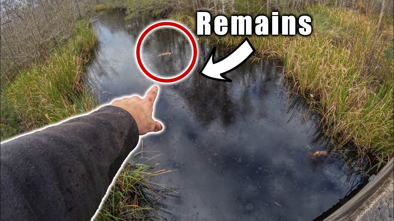 Magnet Fishing The Site Of A Tragedy - Remains Found Floating In The ...