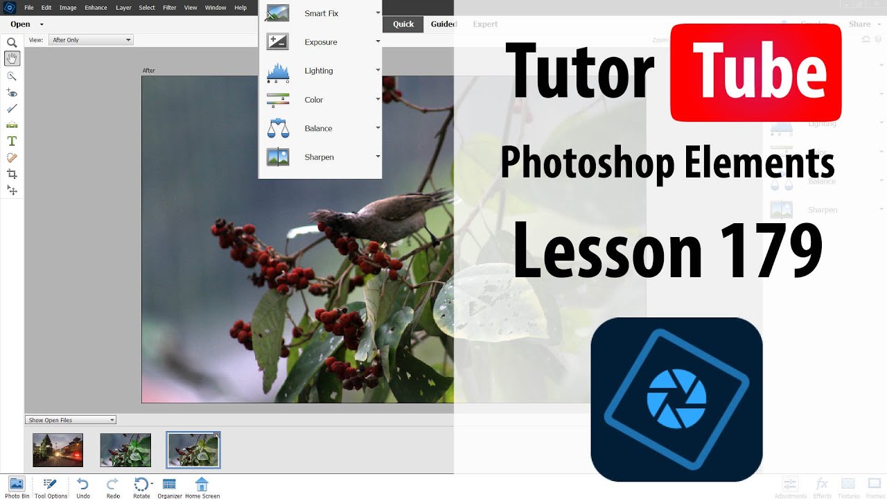 Photoshop Elements Tutorial - Lesson 179 - Pixelate Filters - YouTube