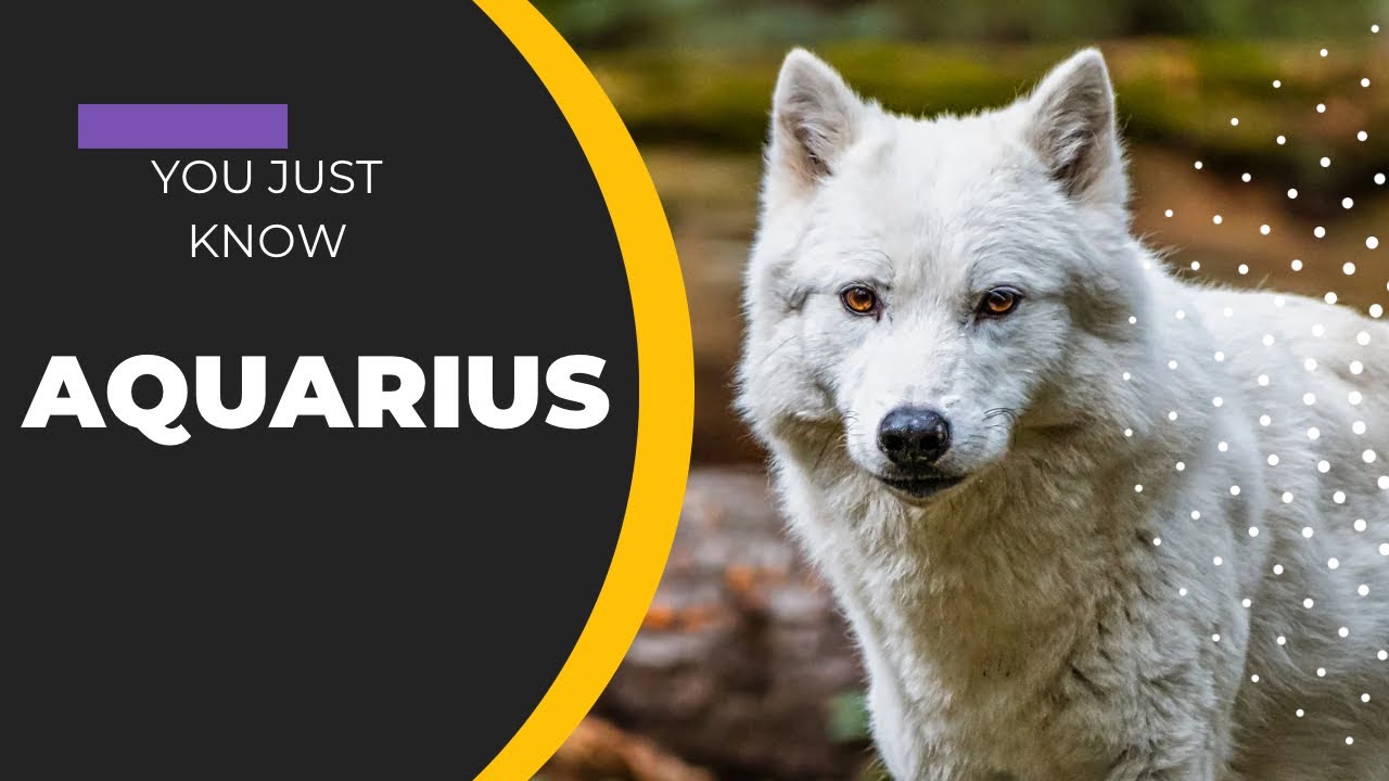AQUARIUS Wait! How DO you know this?? Instantly gaining insight. - YouTube