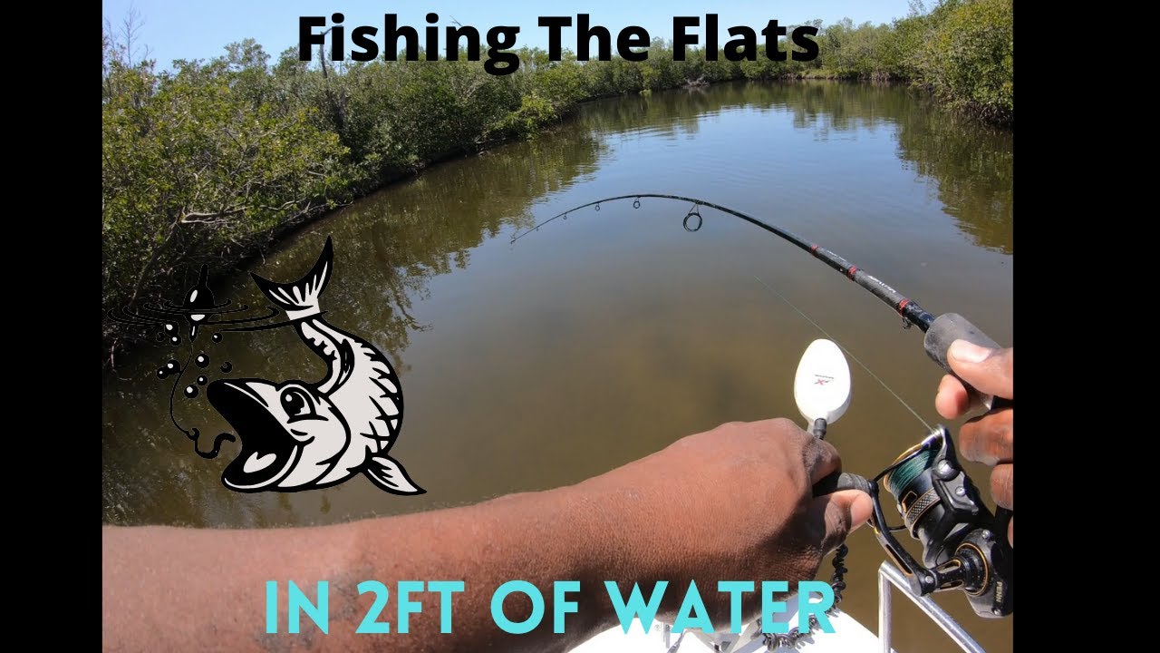 Finding Fish in 2FT of water on the flats Fish everywhere!! - YouTube