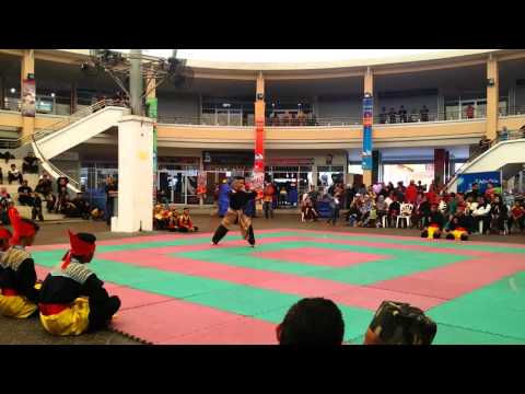 Solo Putera Perguruan Cakar Harimau