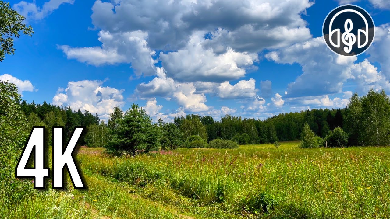 Sounds of a summer morning field for relaxation, meditation and sleep ...