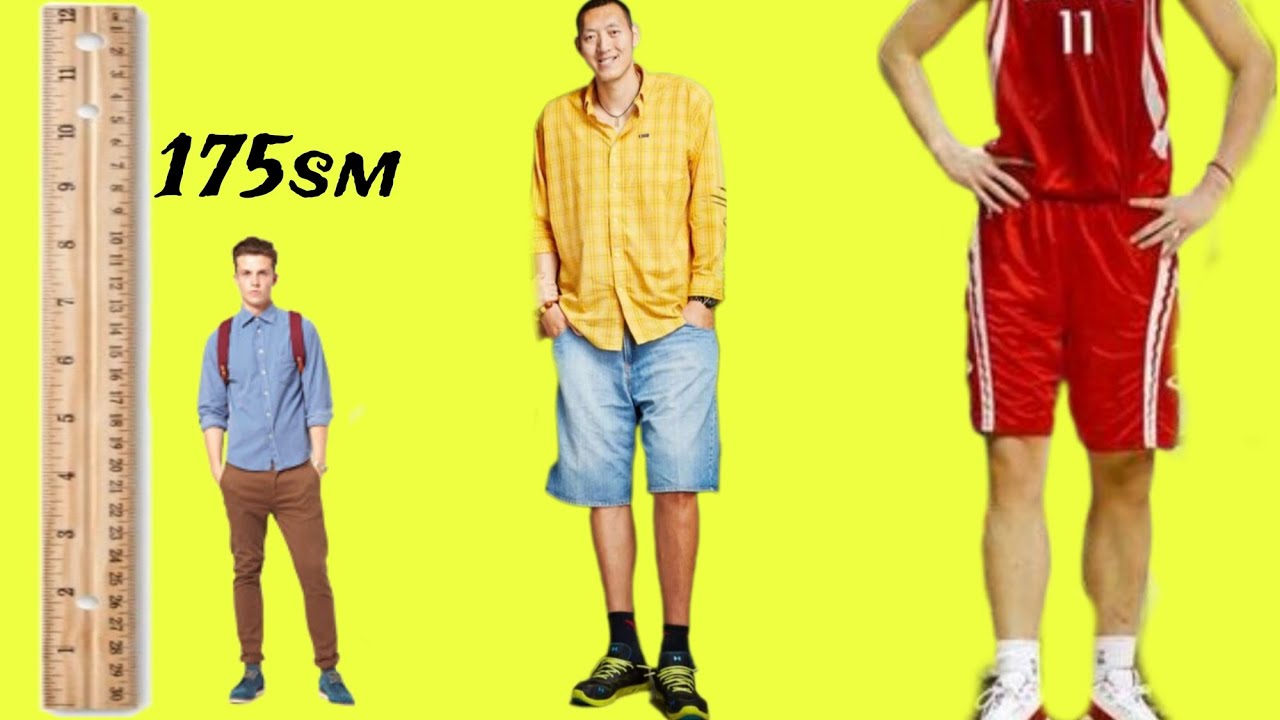 Comparing the size of an average person with people who have the secret ...