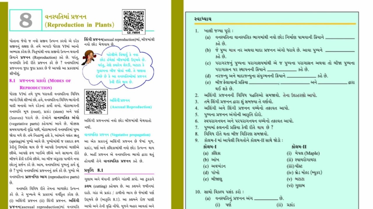 Dhoran7 vignan chopdi che-8 vanaspatima prajanan svadhyay answer|che-8 ...