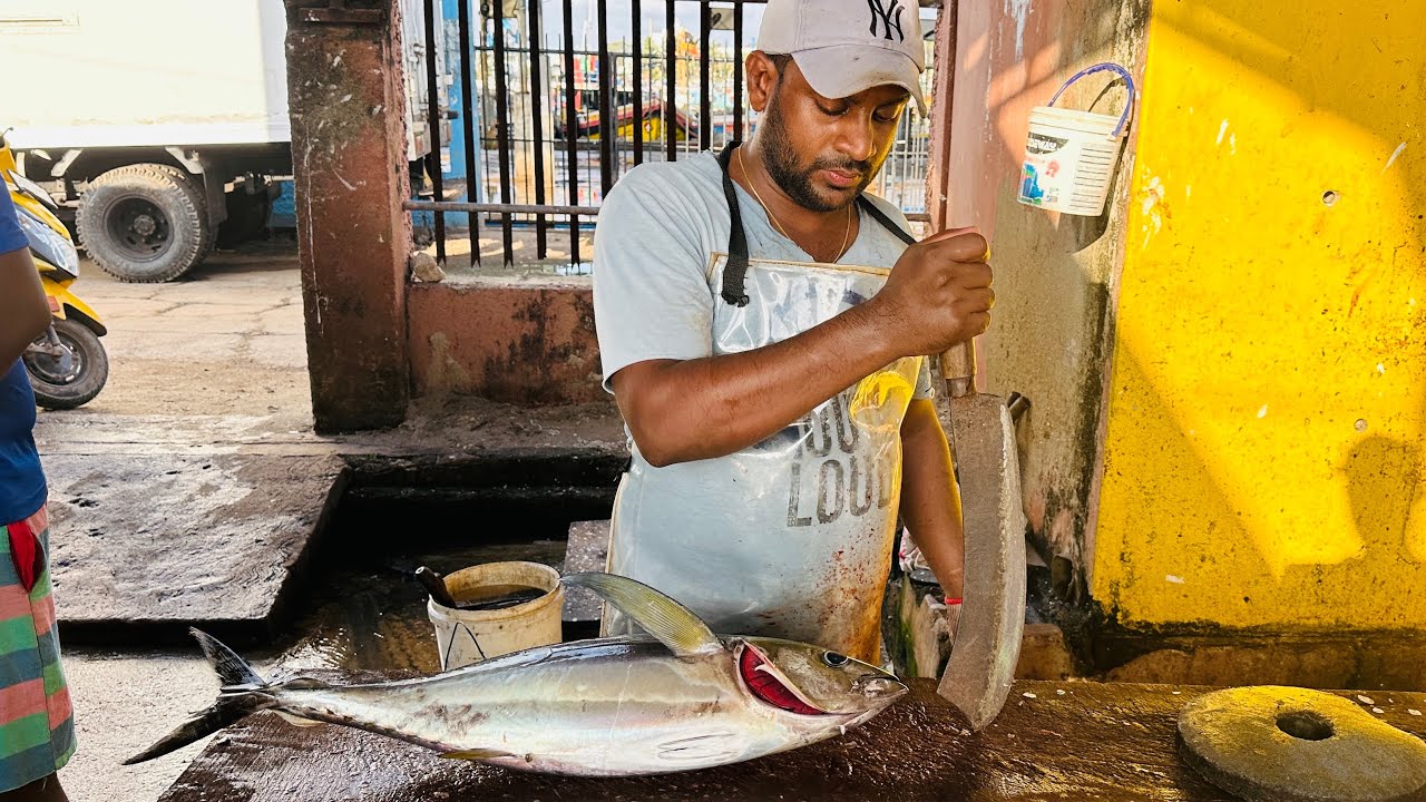 LIVE MACKEREL TUNA FISH BUTCHERY DEMONSTRATION SKILLS - YouTube