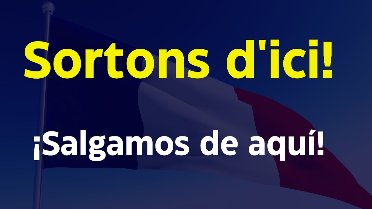 SI APRENDES ESTAS FRASES PODRAS DOMINAR EL FRANCES MUY RAPIDO Y FACIL ...