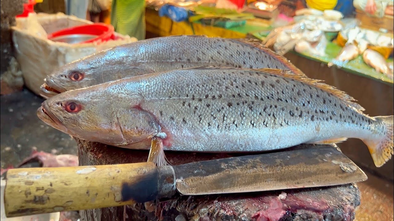 Delicious Big Poa Fish Cutting In Fish Market Bangladesh | Fish Cutting ...