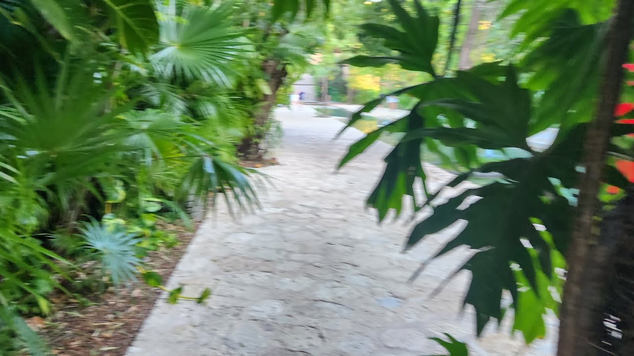 hotel Xcaret resort in river jump room - YouTube