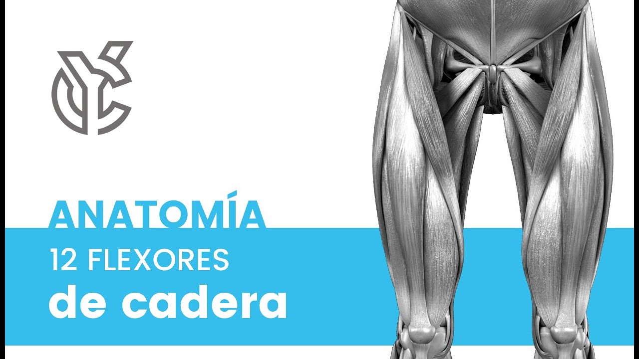 12 Flexores de cadera - YouTube