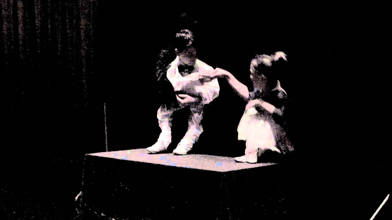 Little People Ballet Skit by The Shimer's - YouTube