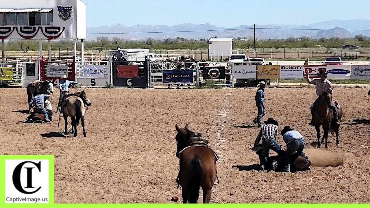 Stray Gathering - Rail 3 Ranch Rodeo - YouTube