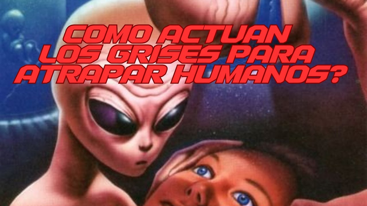 COMO ACTUAN LOS GRISES PARA ATRAPAR HUMANOS - YouTube