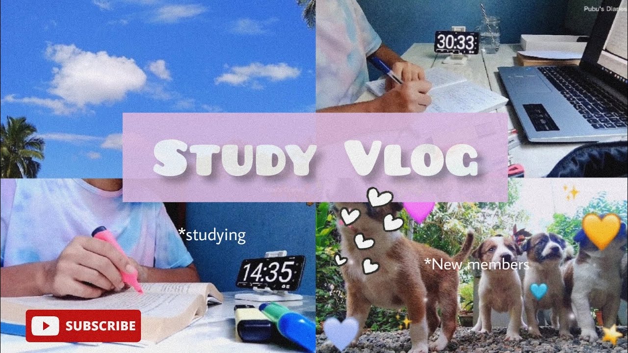 STUDY VLOG 📚| Study with me|පාඩම් වැඩ එක්ක දවසක්💕🏙️ #al #studyvlog #viral - YouTube